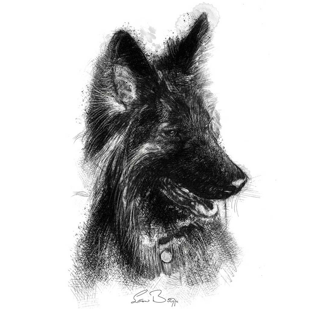 Original German shepherd sketch | SeanBriggs