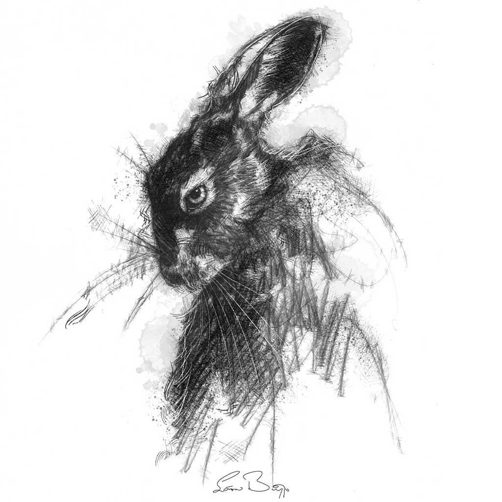 Original Crazy brown hare sketch | SeanBriggs