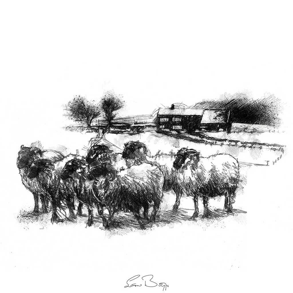 Original sheep farm sketch | SeanBriggs