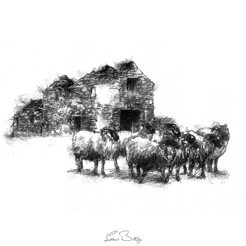 Original Sheep barn sketch | SeanBriggs