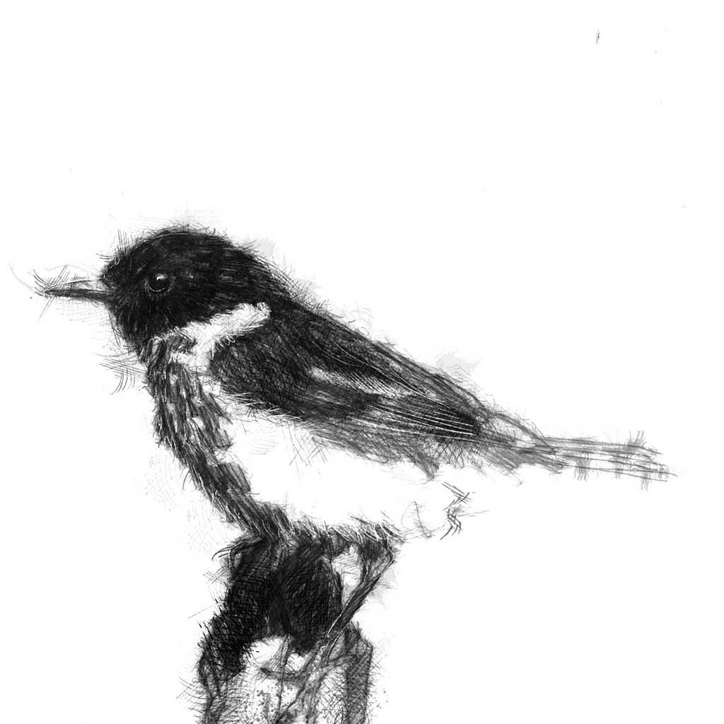 Original Stonehatch sketch | SeanBriggs