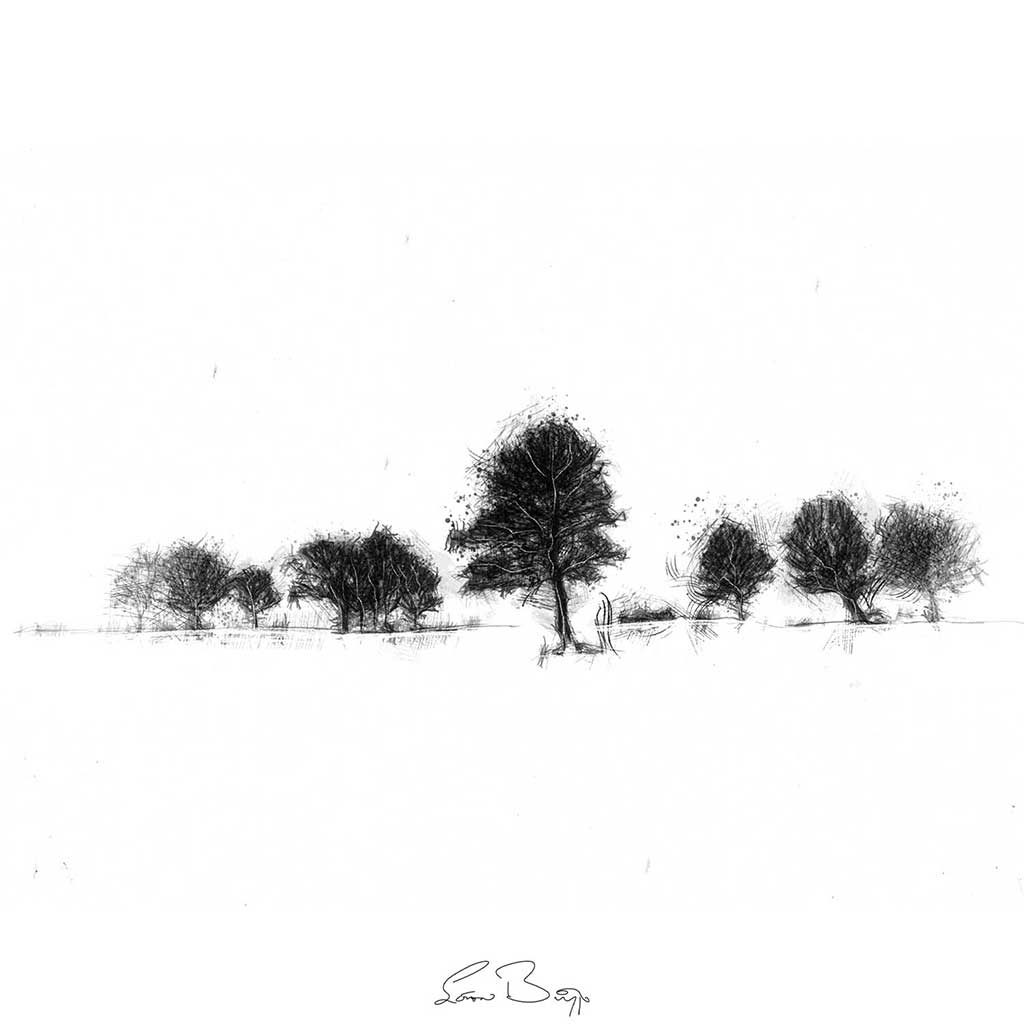 Original Treeline sketch | SeanBriggs