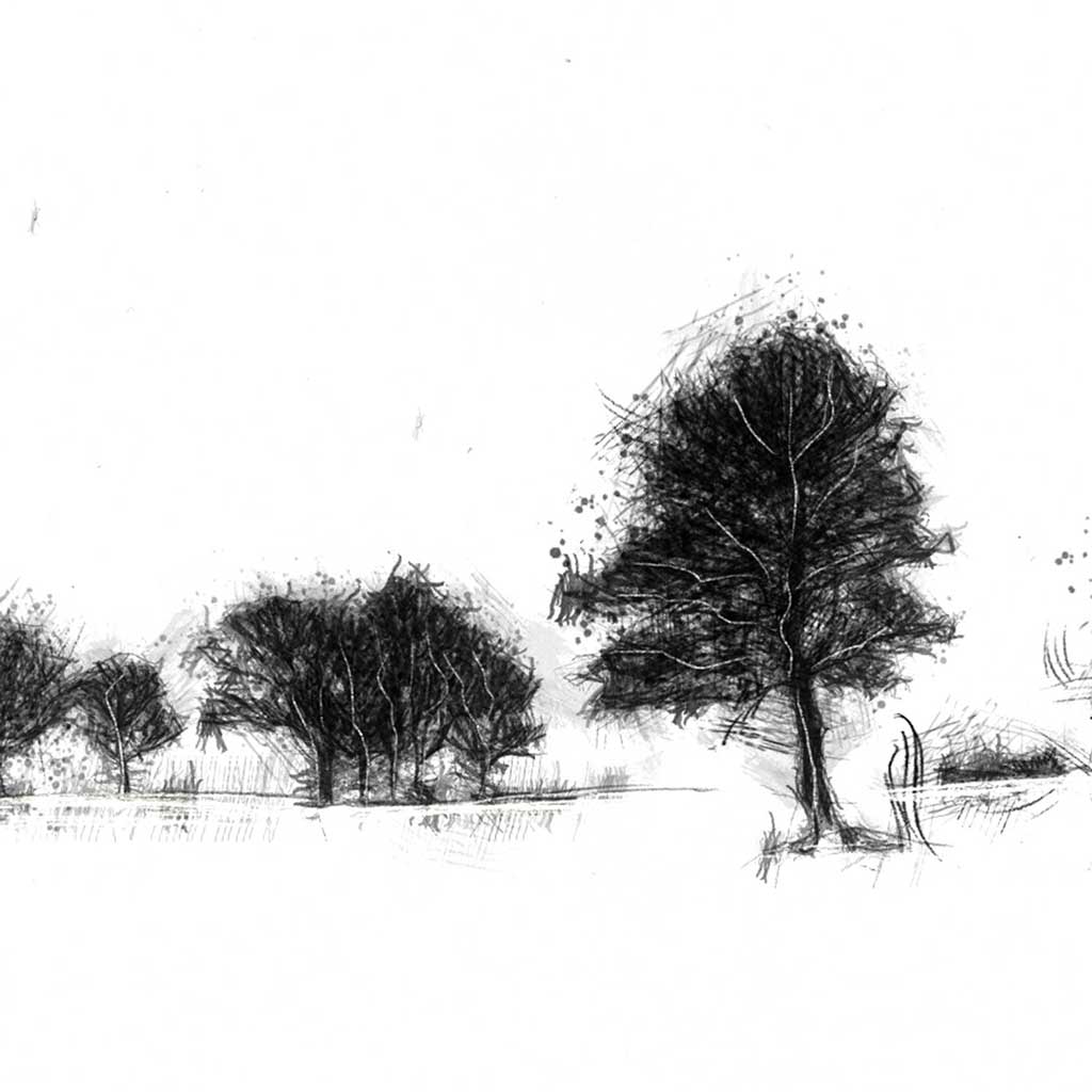 Original Treeline sketch | SeanBriggs