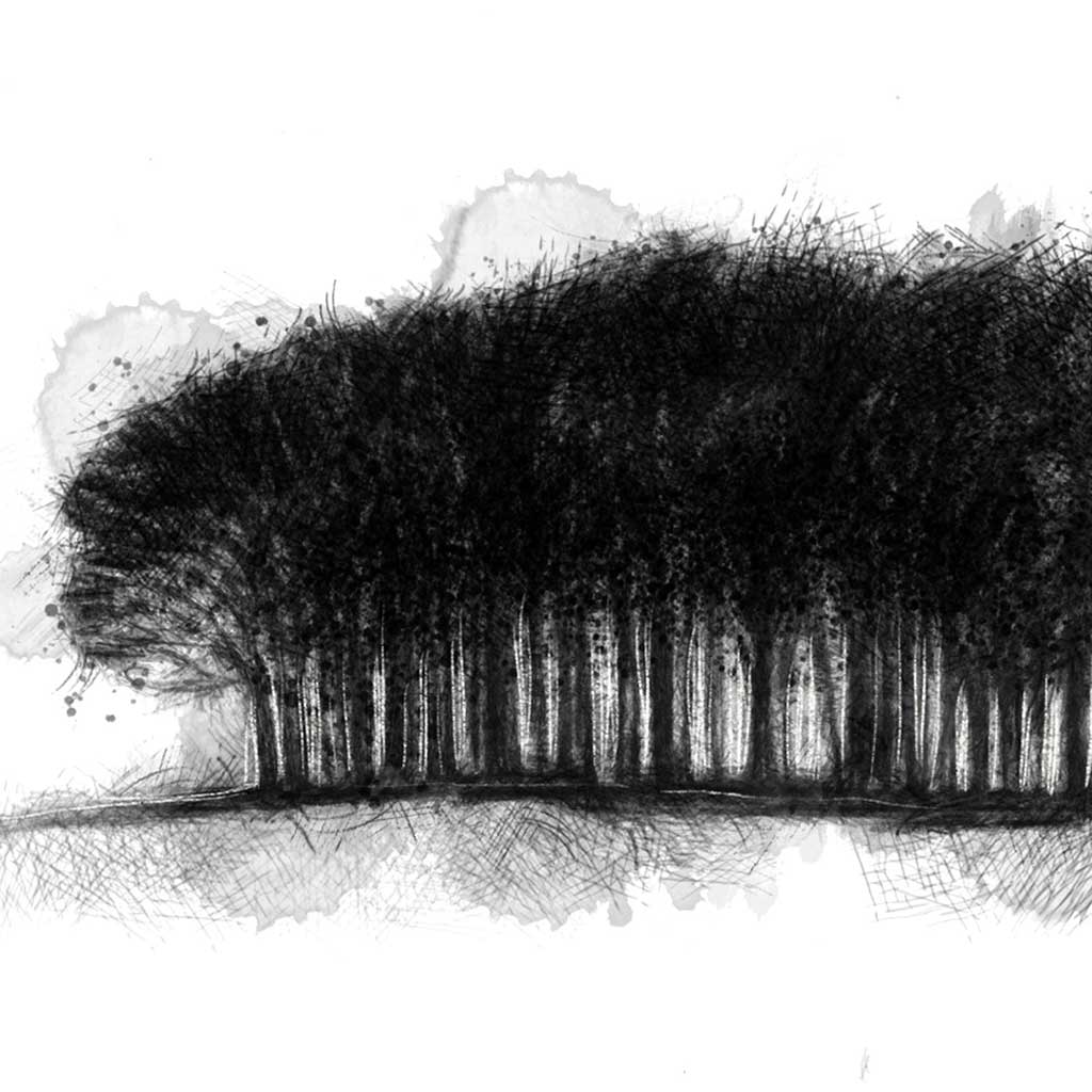 Original Copse sketch | SeanBriggs