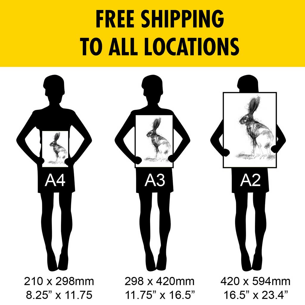 Original Jack rabbit sketch | SeanBriggs