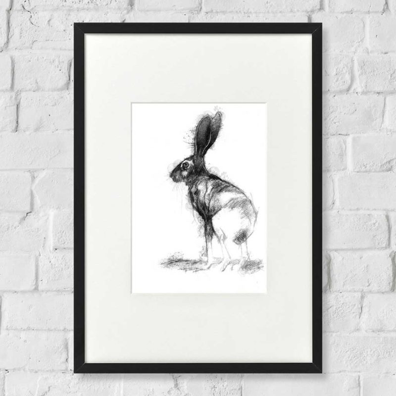 Original Jack rabbit sketch | SeanBriggs