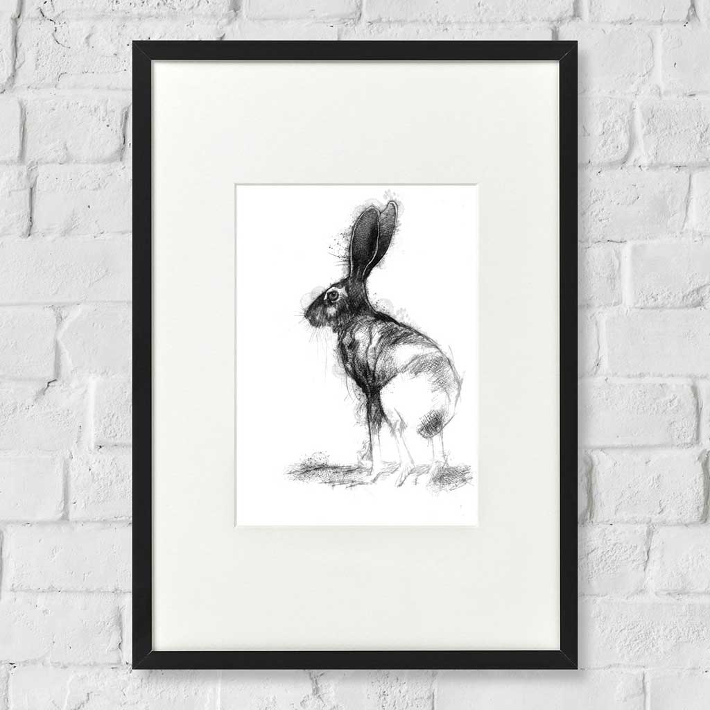 Original Jack rabbit sketch | SeanBriggs