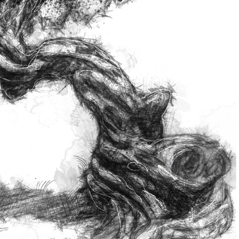 Original Twisted tree sketch | SeanBriggs