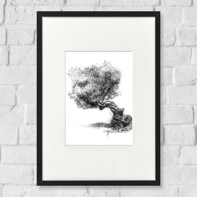 Original Twisted tree sketch | SeanBriggs