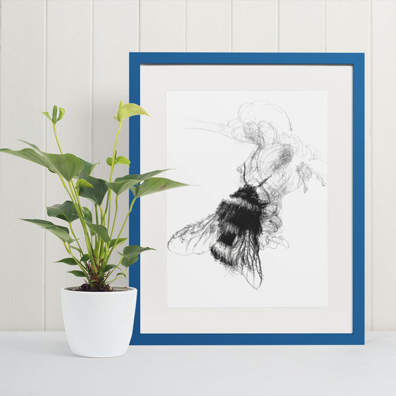 Mini beast sketches and drawings | SeanBriggs