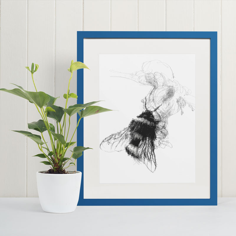 Mini beast sketches and drawings | SeanBriggs