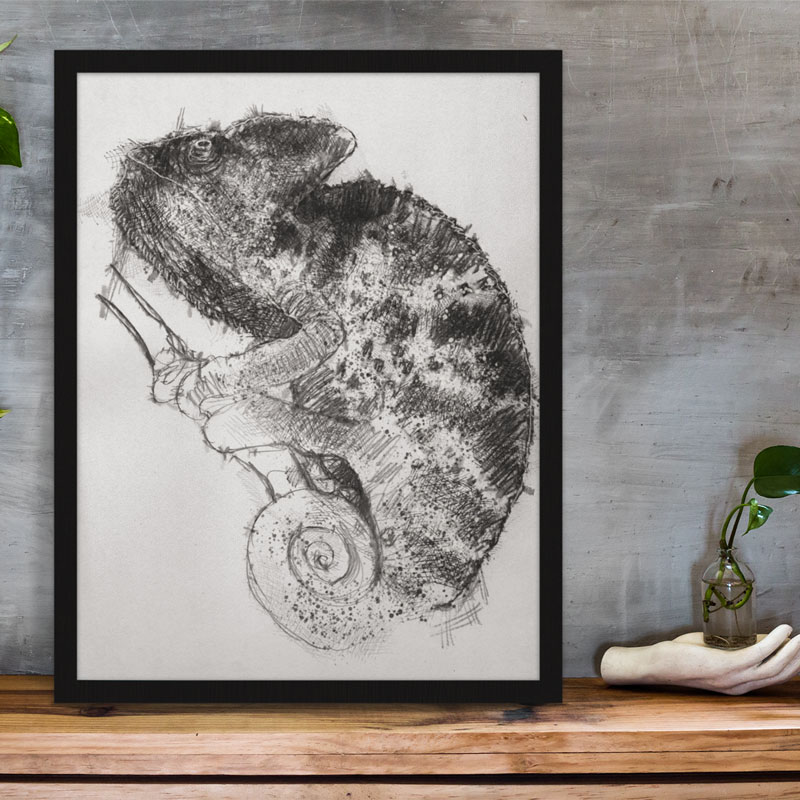 Mini beast sketches and drawings | SeanBriggs