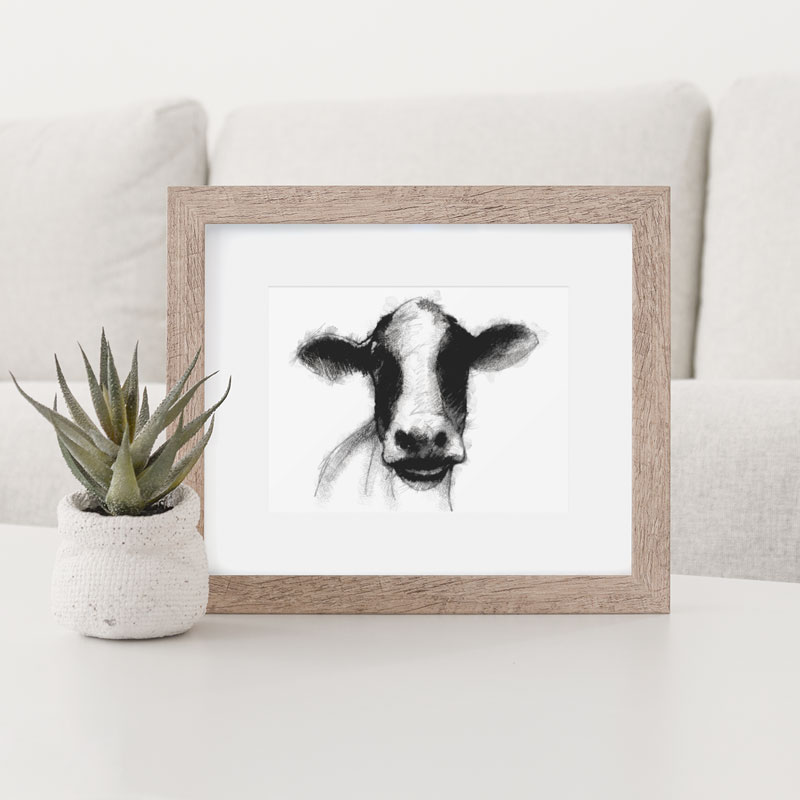 Domestic animal sketches and drawings | SeanBriggs