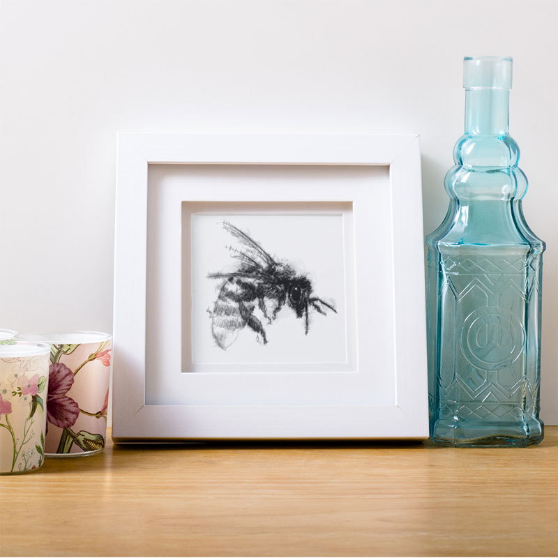 Mini beast sketches and drawings | SeanBriggs