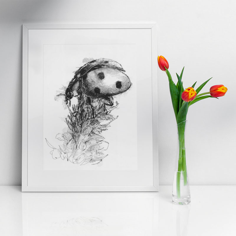 Mini beast sketches and drawings | SeanBriggs