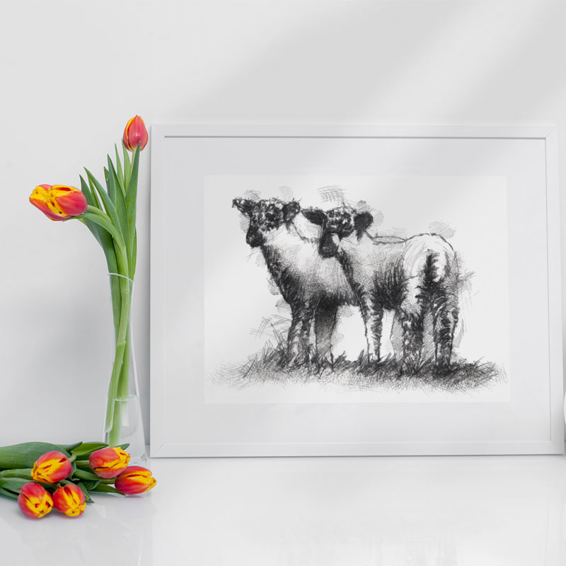 Domestic animal sketches and drawings | SeanBriggs