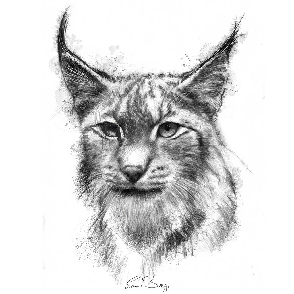 Original sketch | SeanBriggs