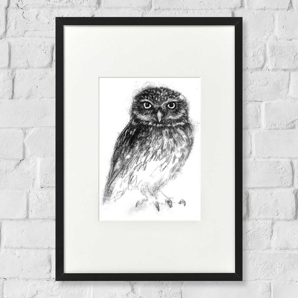 Original Little owl sketch | SeanBriggs