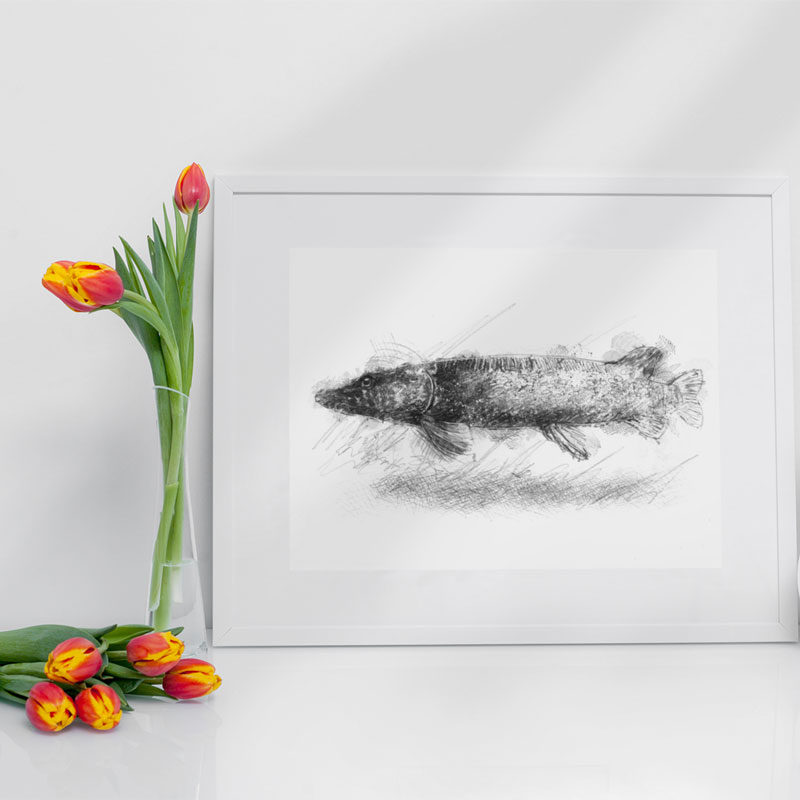 Mini beast sketches and drawings | SeanBriggs