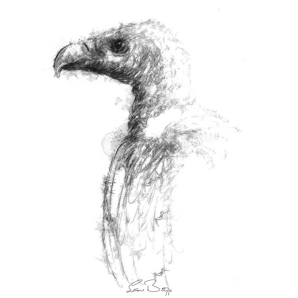 Original sketch | SeanBriggs