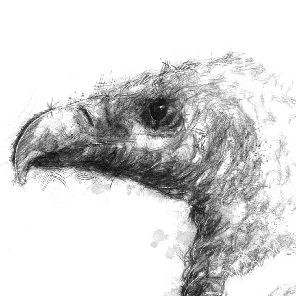 Original sketch | SeanBriggs