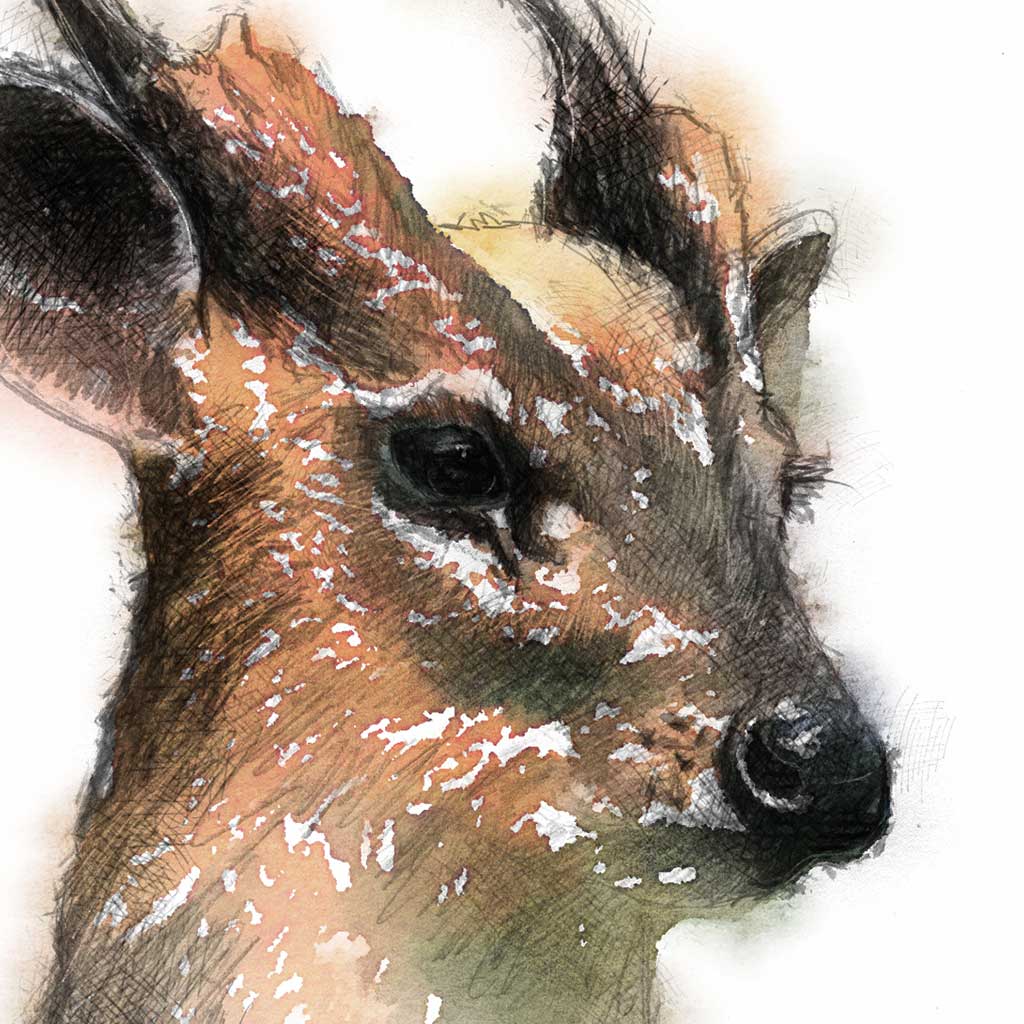 Original sketch | SeanBriggs