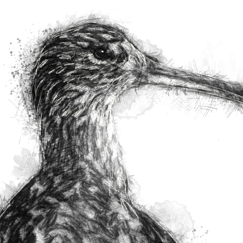 Original sketch | SeanBriggs