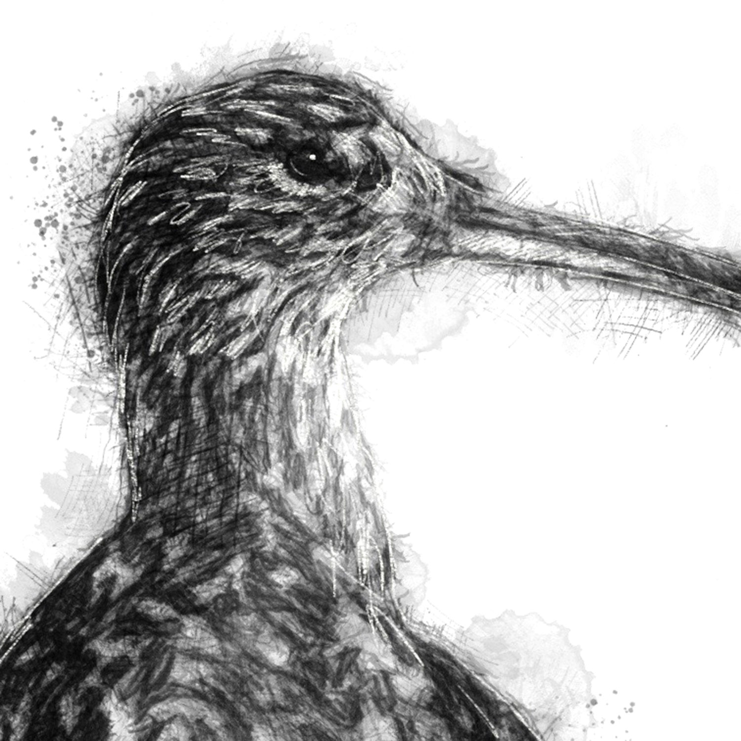 Original sketch | SeanBriggs