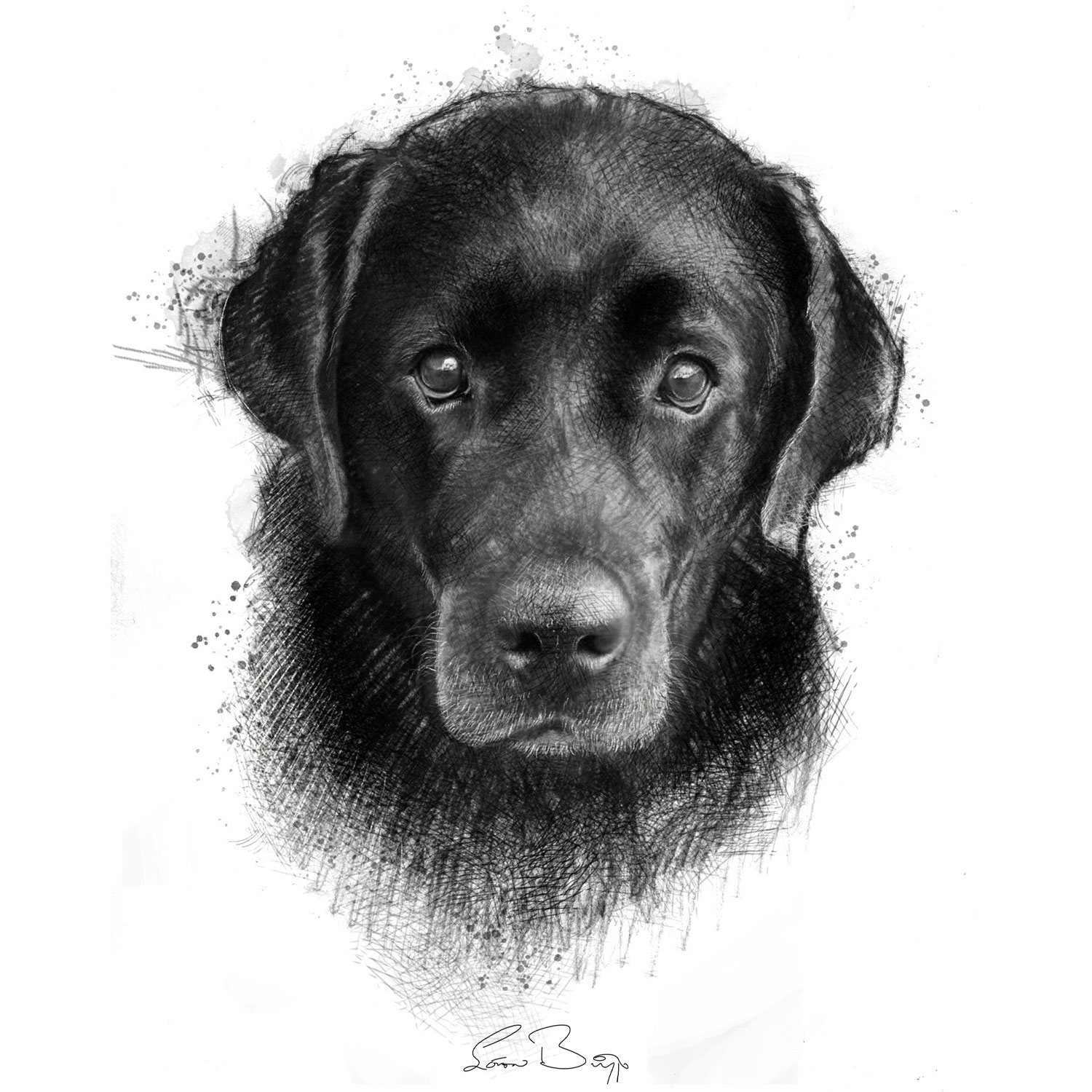 Original sketch | SeanBriggs