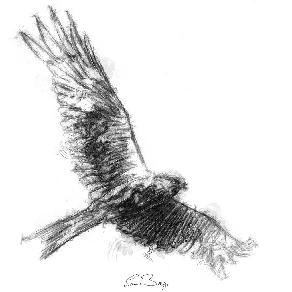 Original sketch | SeanBriggs