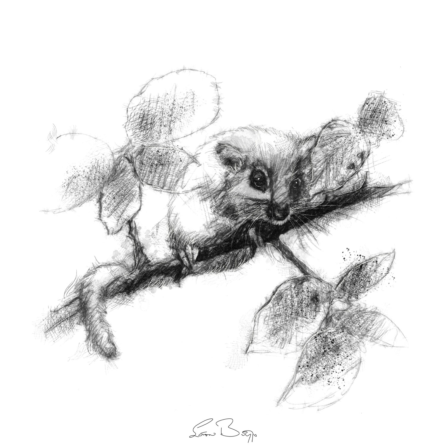 Original sketch | SeanBriggs