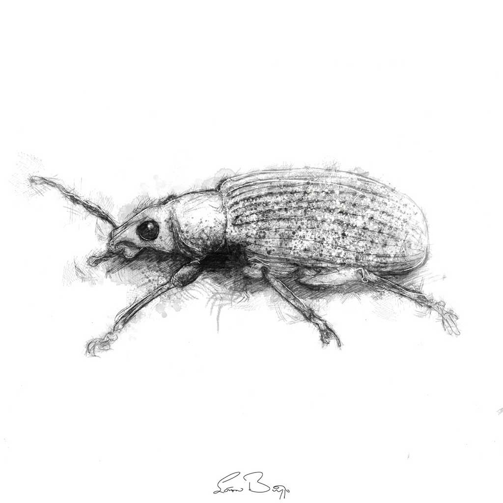 Original sketch | SeanBriggs