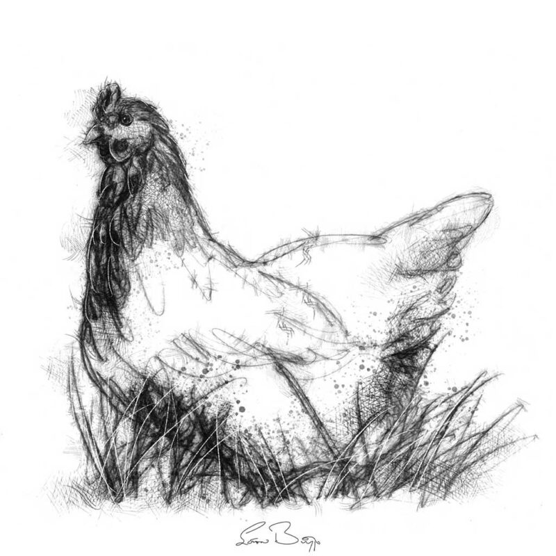 Original sketch | SeanBriggs