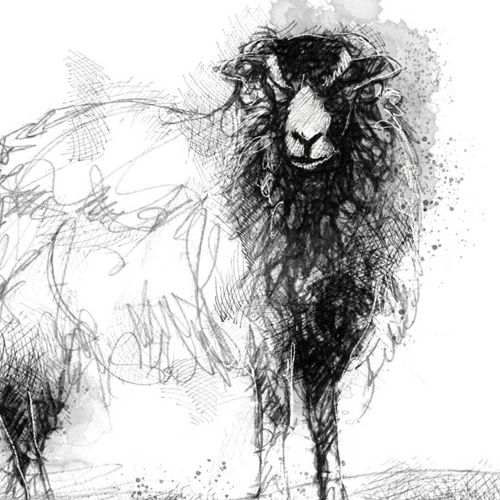 Original sketch | SeanBriggs