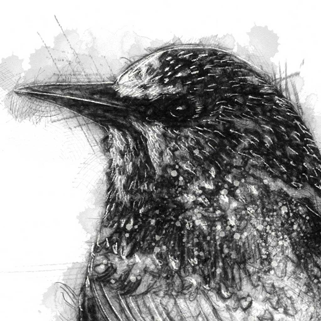 Original sketch | SeanBriggs