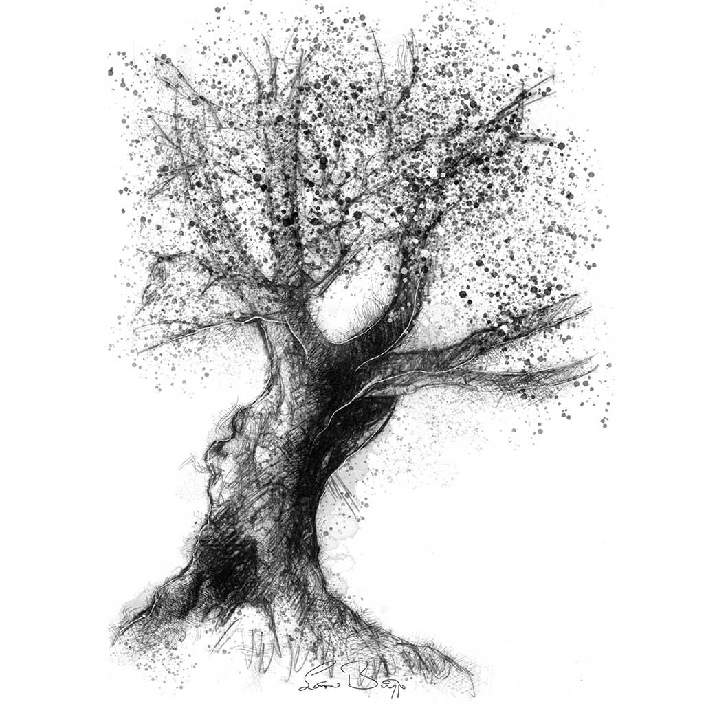 Old Tree Drawing