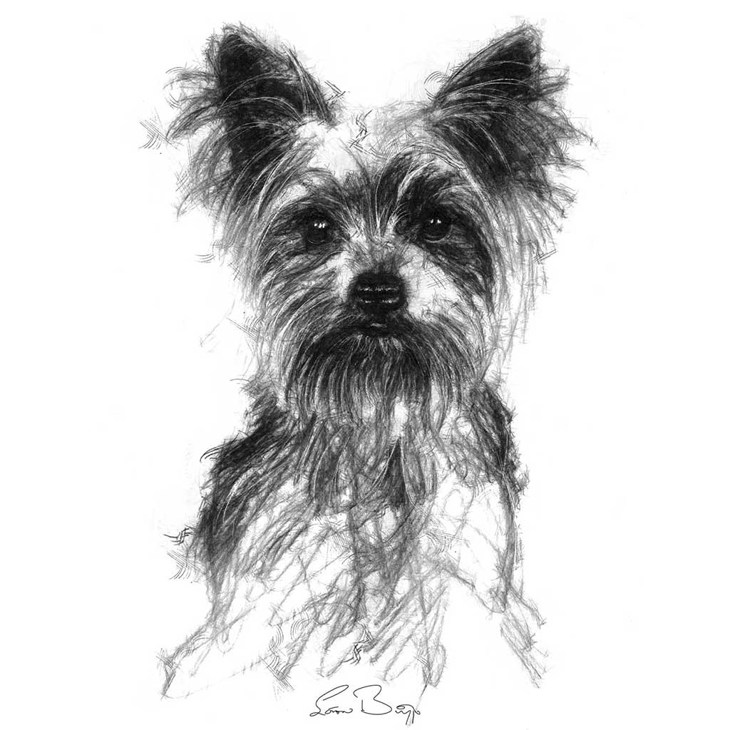 Original sketch | SeanBriggs