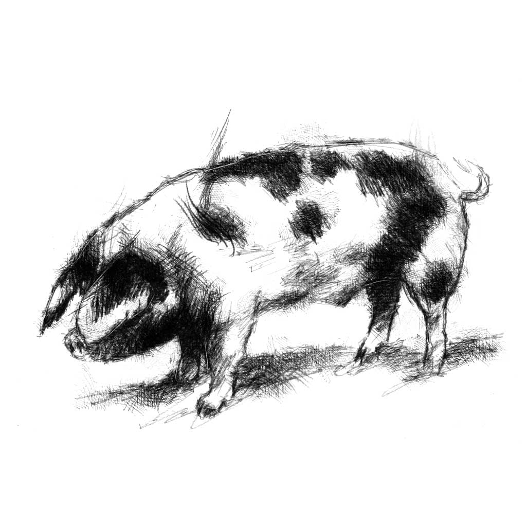 Original sketch | SeanBriggs