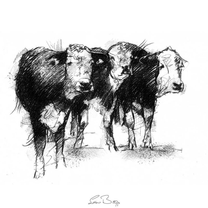 Original sketch | SeanBriggs