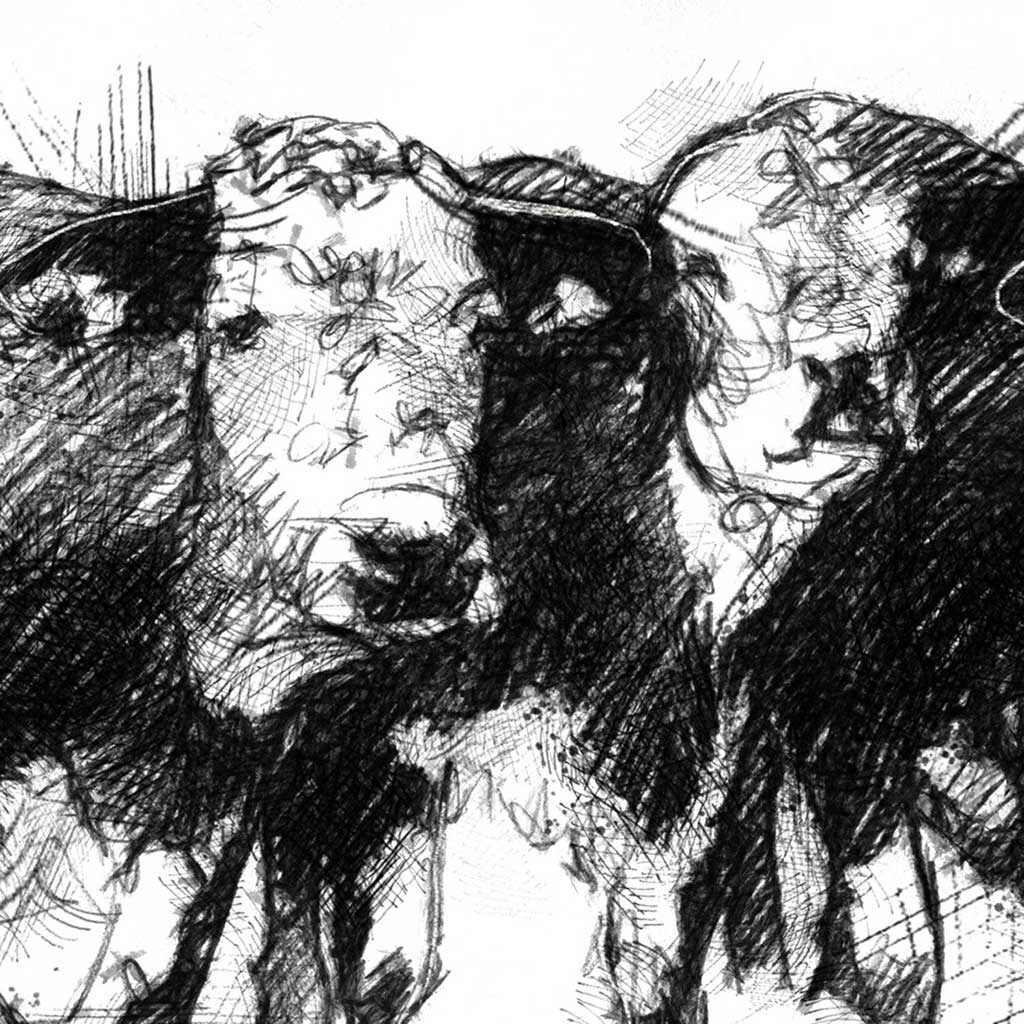 Original sketch | SeanBriggs