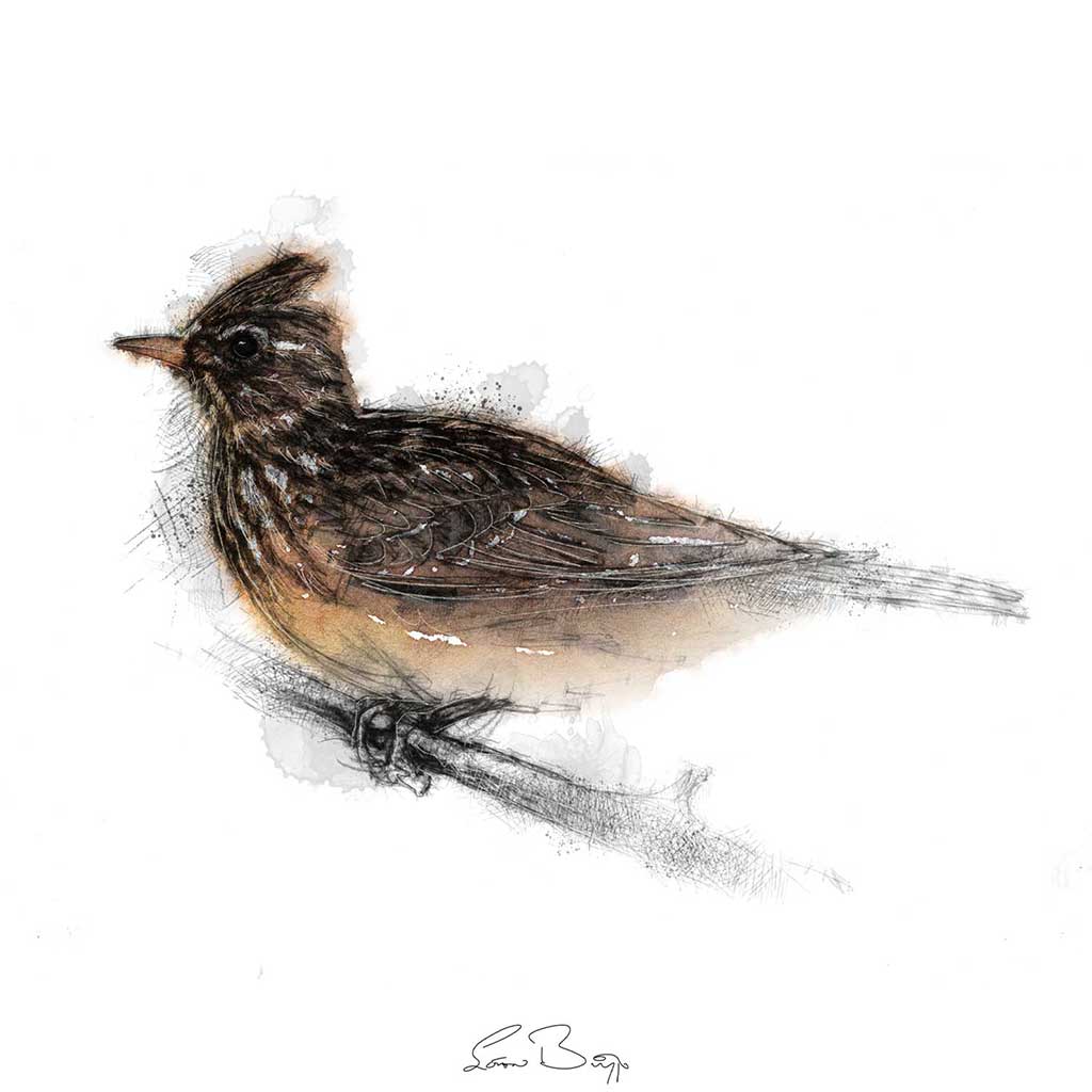 Original sketch | SeanBriggs