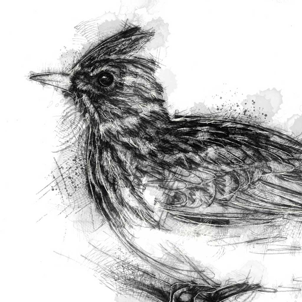 Original sketch | SeanBriggs