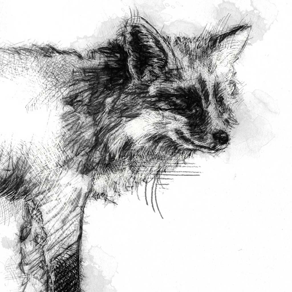 Original sketch | SeanBriggs