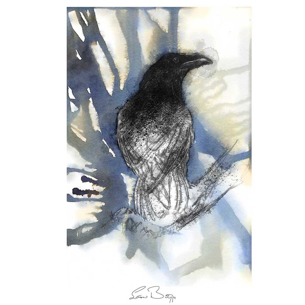 Ghost crow | SeanBriggs