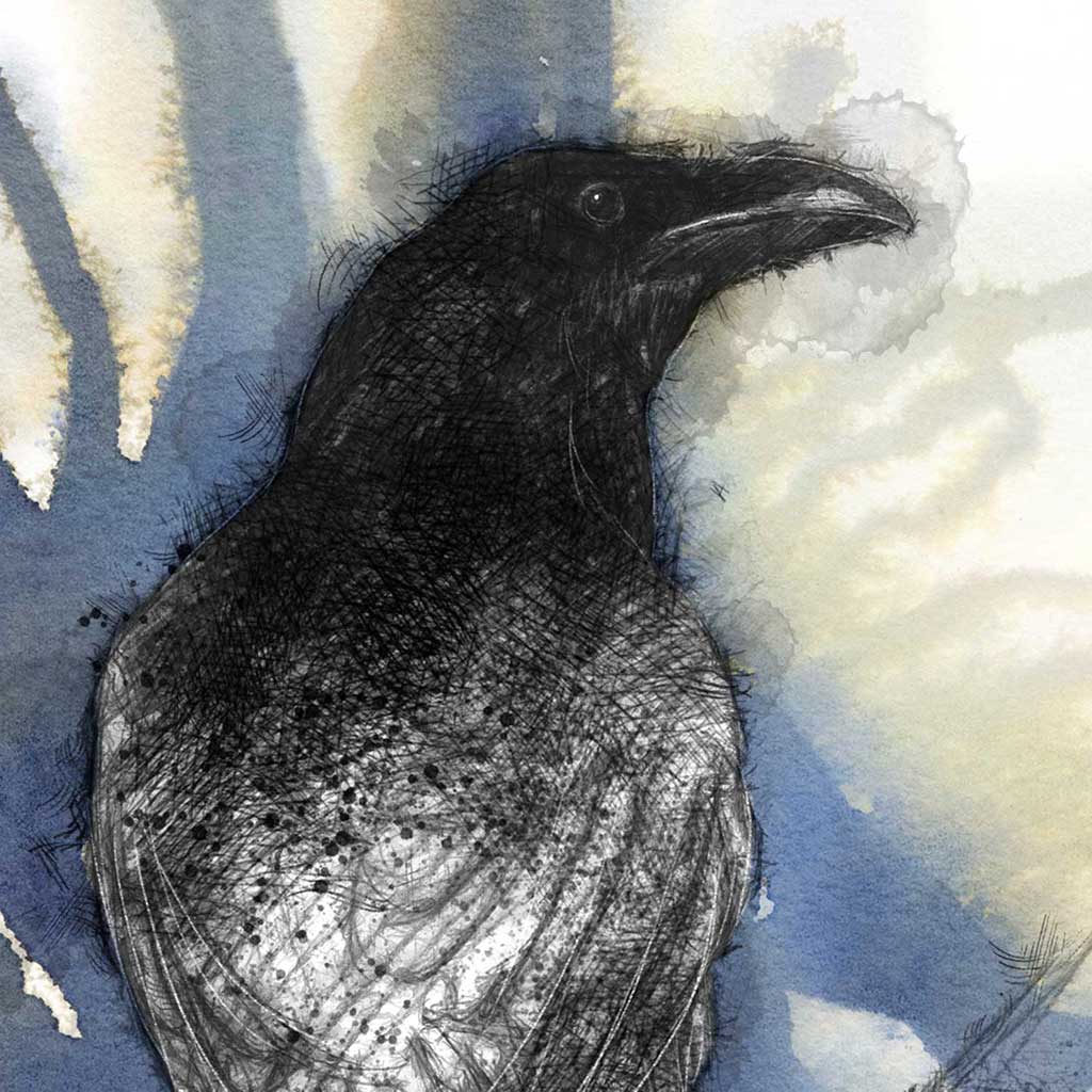 Ghost crow | SeanBriggs