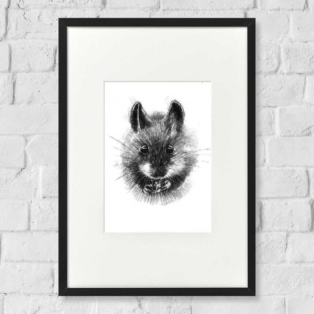 Wood mouse | SeanBriggs