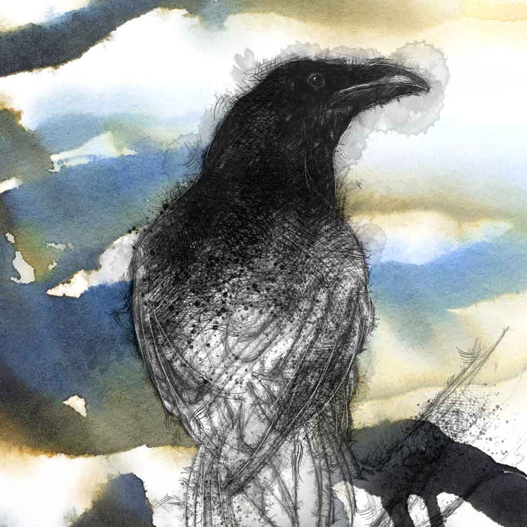Ghost of a crow | SeanBriggs