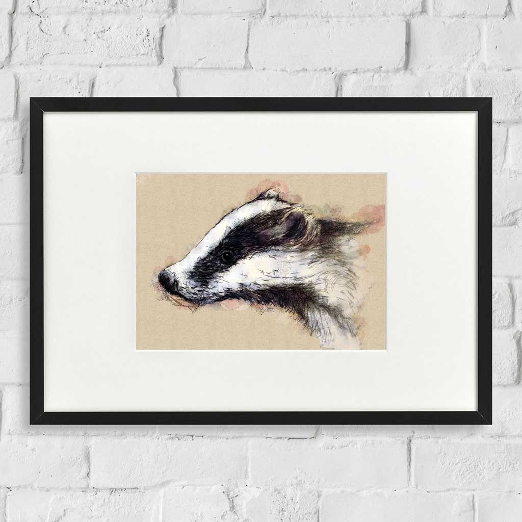 European badger | SeanBriggs