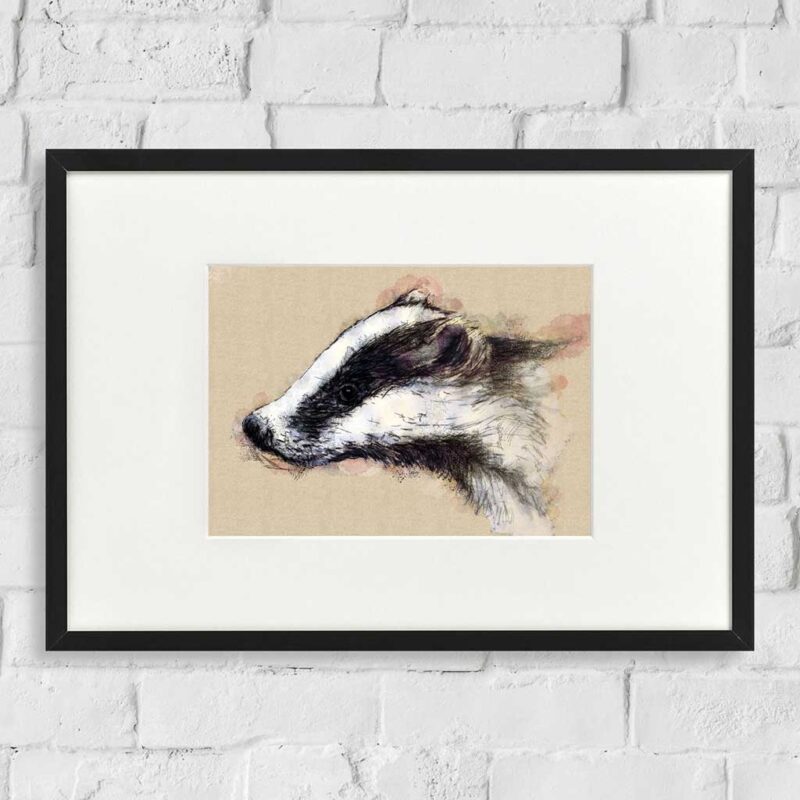 European badger | SeanBriggs