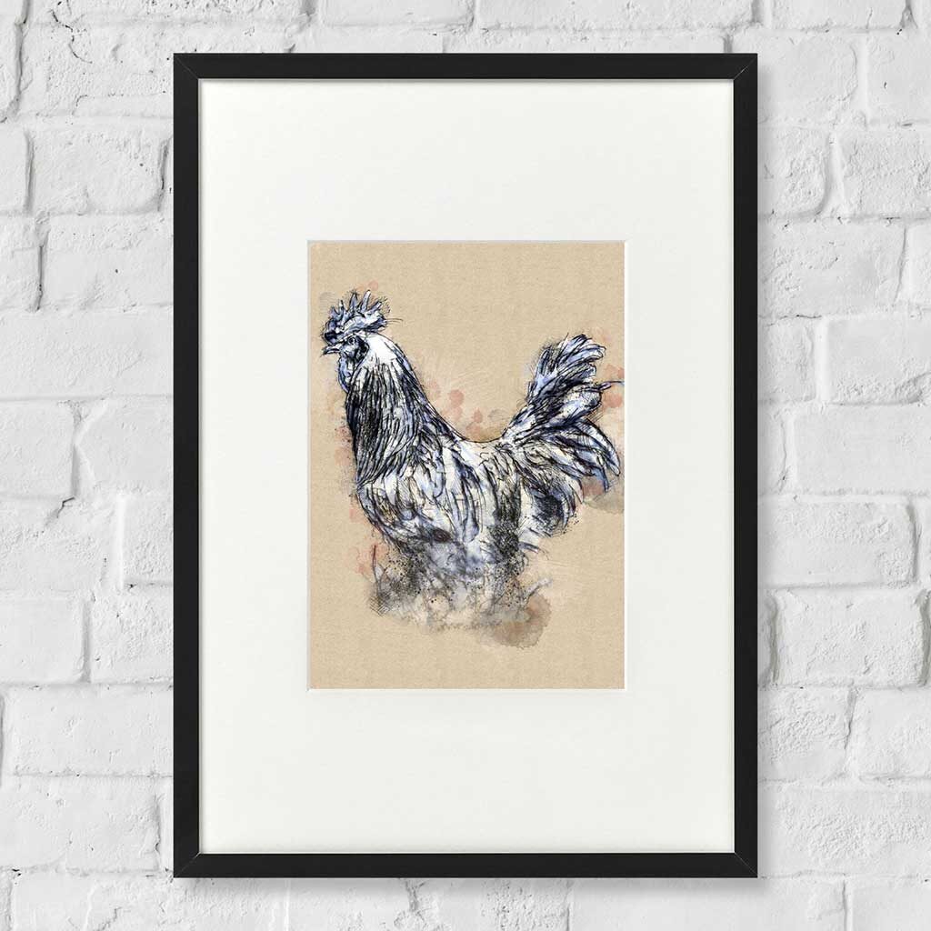 Cockerel | SeanBriggs